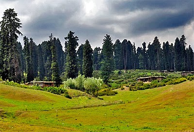 Flora And Fauna Of India: Flora and Fauna of Jammu and Kashmir
