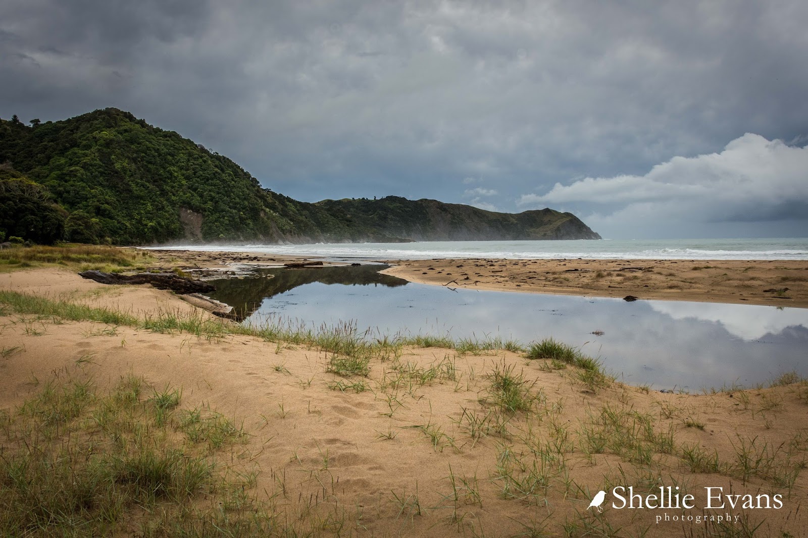 Two Go Tiki Touring: Beach Hop North- Kaiaua & Anaura Bays