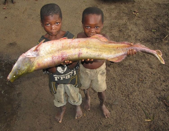 10 Fascinating Facts You never Knew About Mali