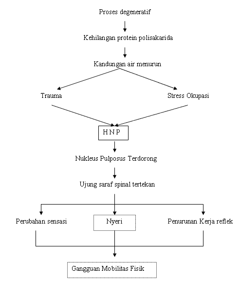 dr. Ferry Fawzi Annor: Hernia Nukleus Pulposus ( HNP )