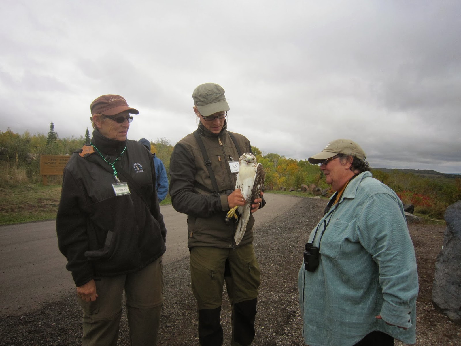 Hawk Ridge Volunteers : Hawk Ridge Bird Observatory
