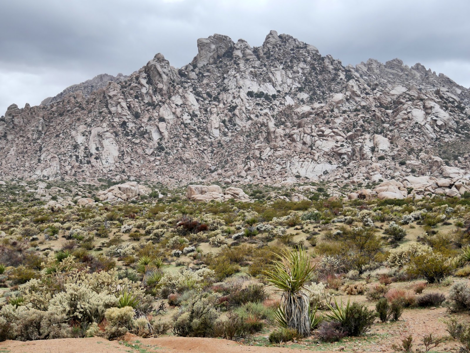 American Travel Journal: Granite Pass Scenic Vista - Mojave National ...