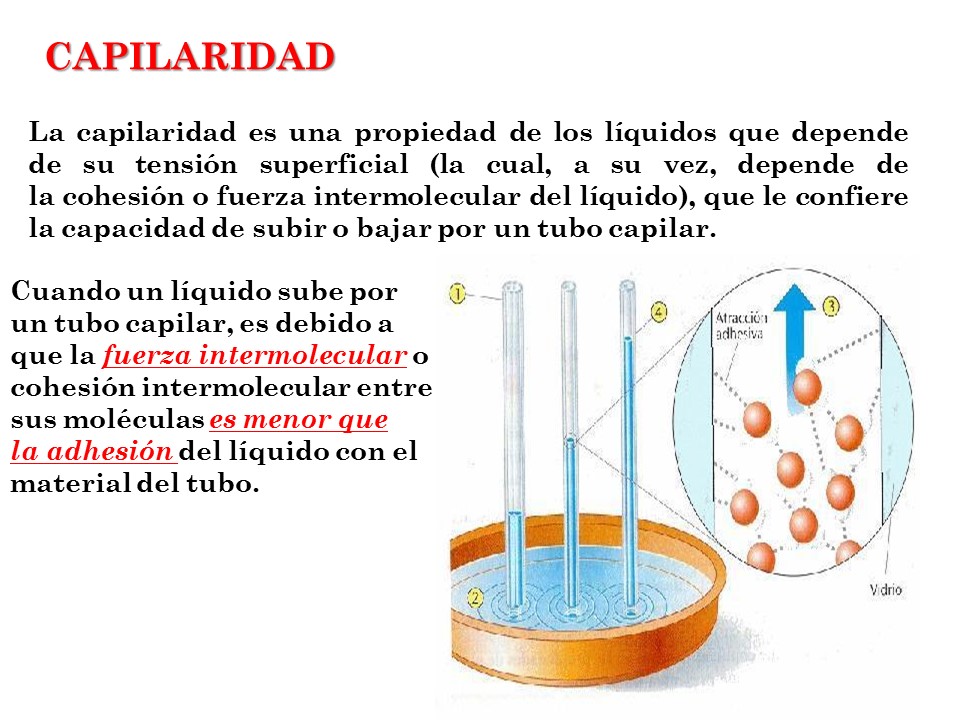 Física: Presentación Capilaridad
