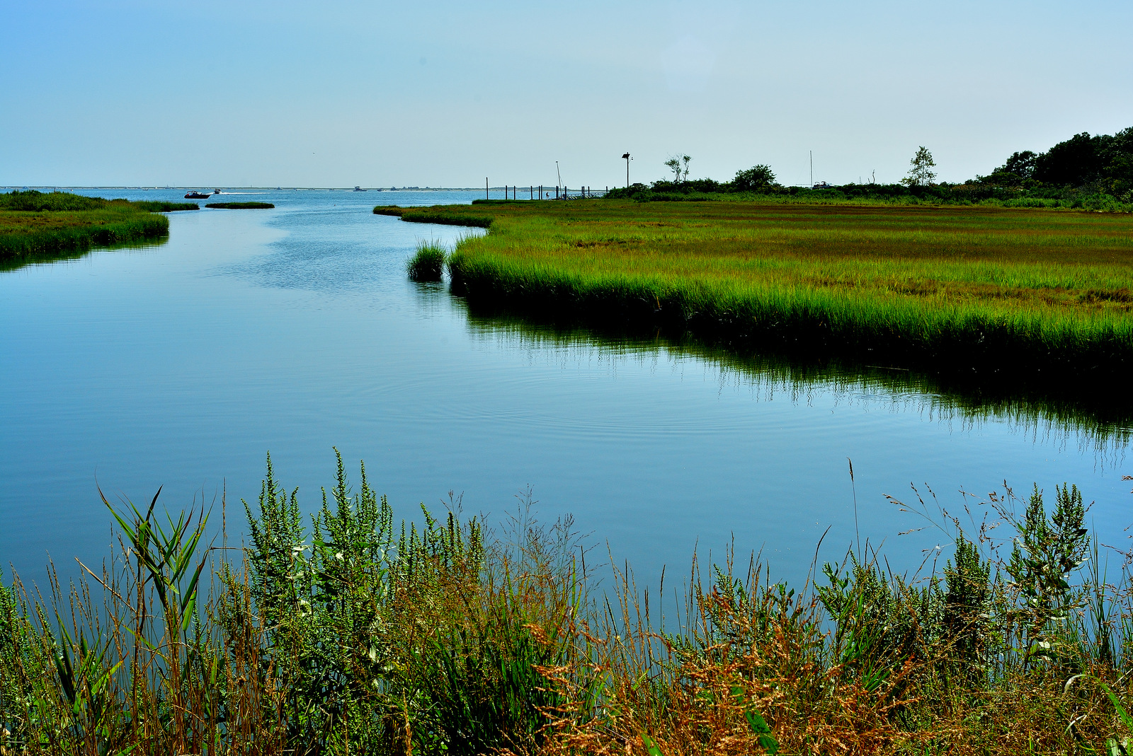 Barn Island Wildlife Management Area