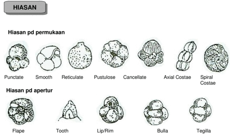 FORAMINIFERA BENTHONIK DAN LINGKUNGAN PENGENDAPAN ~ POROSITAS