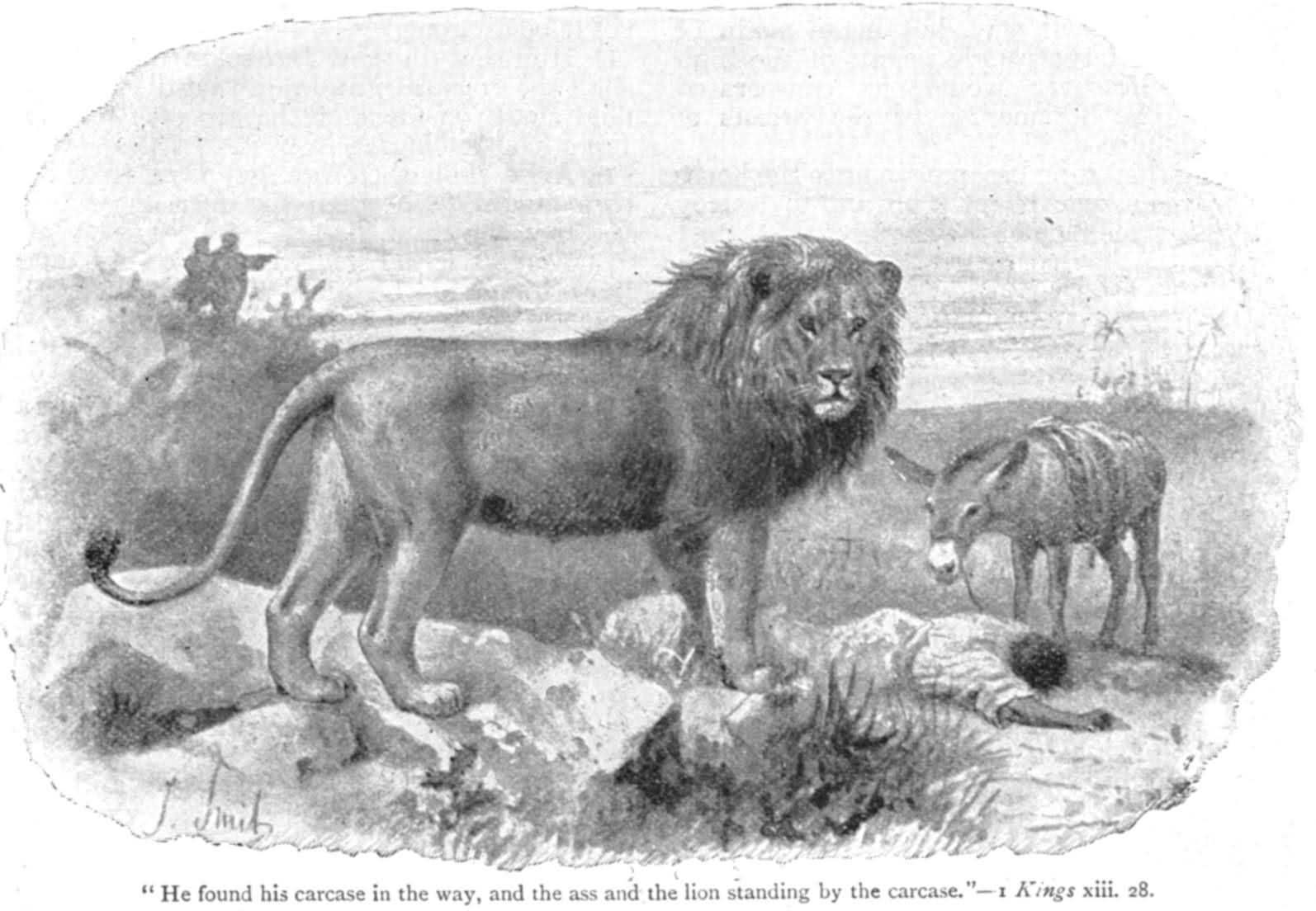 1 Kings 13: Lion, Lying in Wait