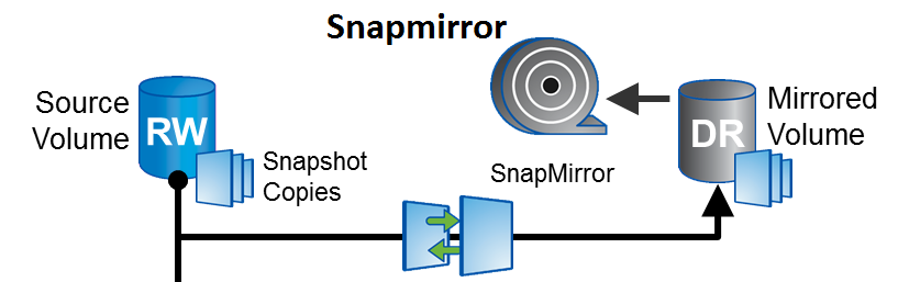 Redhat Enterprise Linux Version 7: Switchover Snapmirror - Change ...