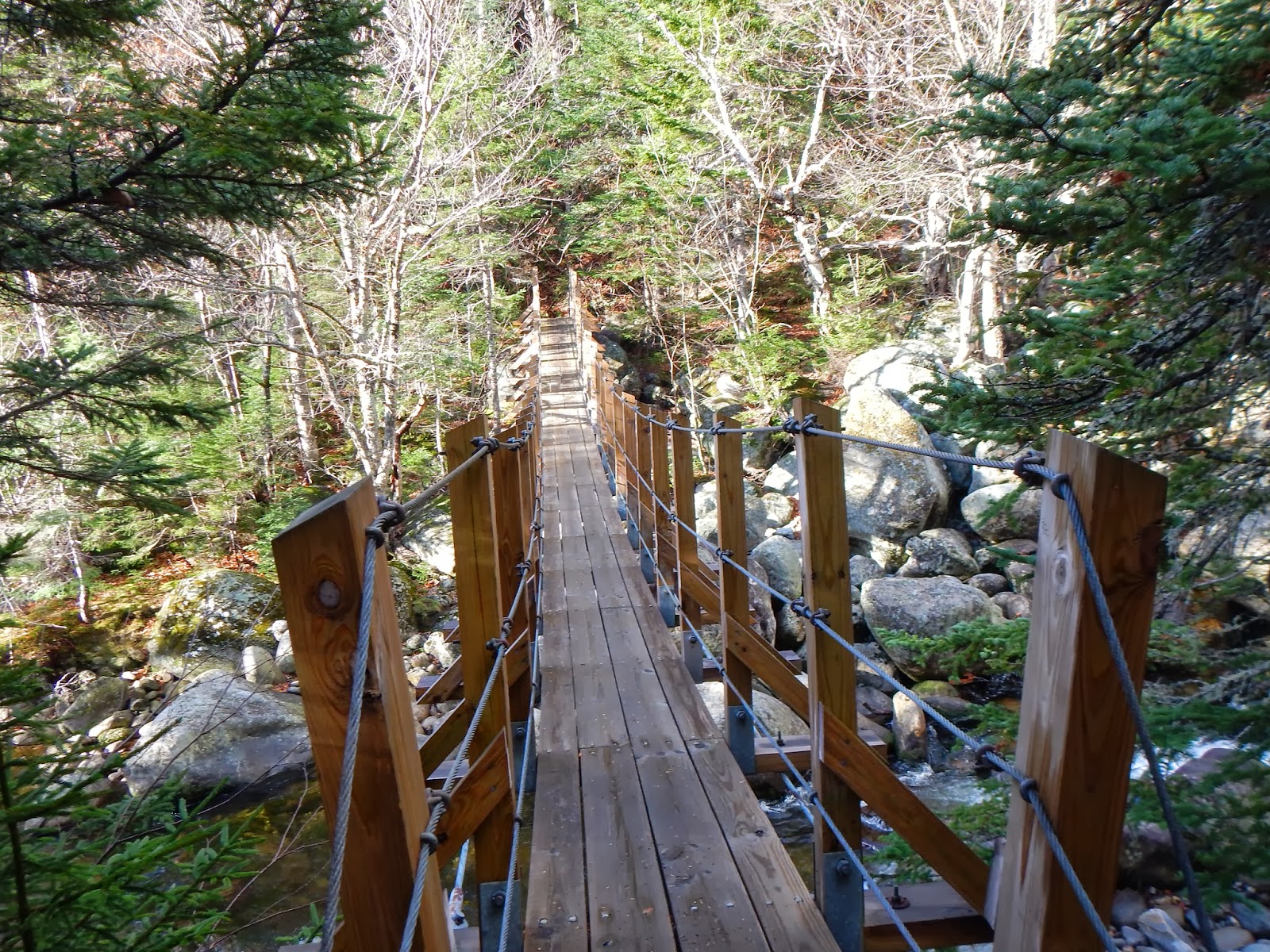 Hitting the Trails: 10/20/2013-10/21/2013 Mount Adams and The Great Gulf