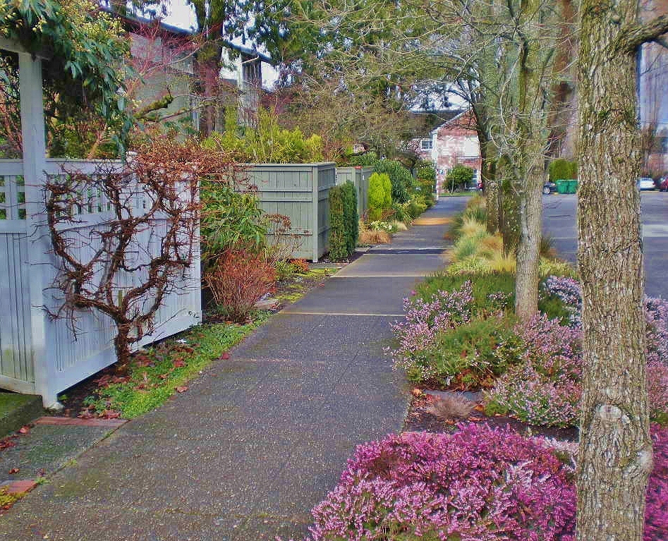 Urban Landscape, Native Landscape: March in Seattle