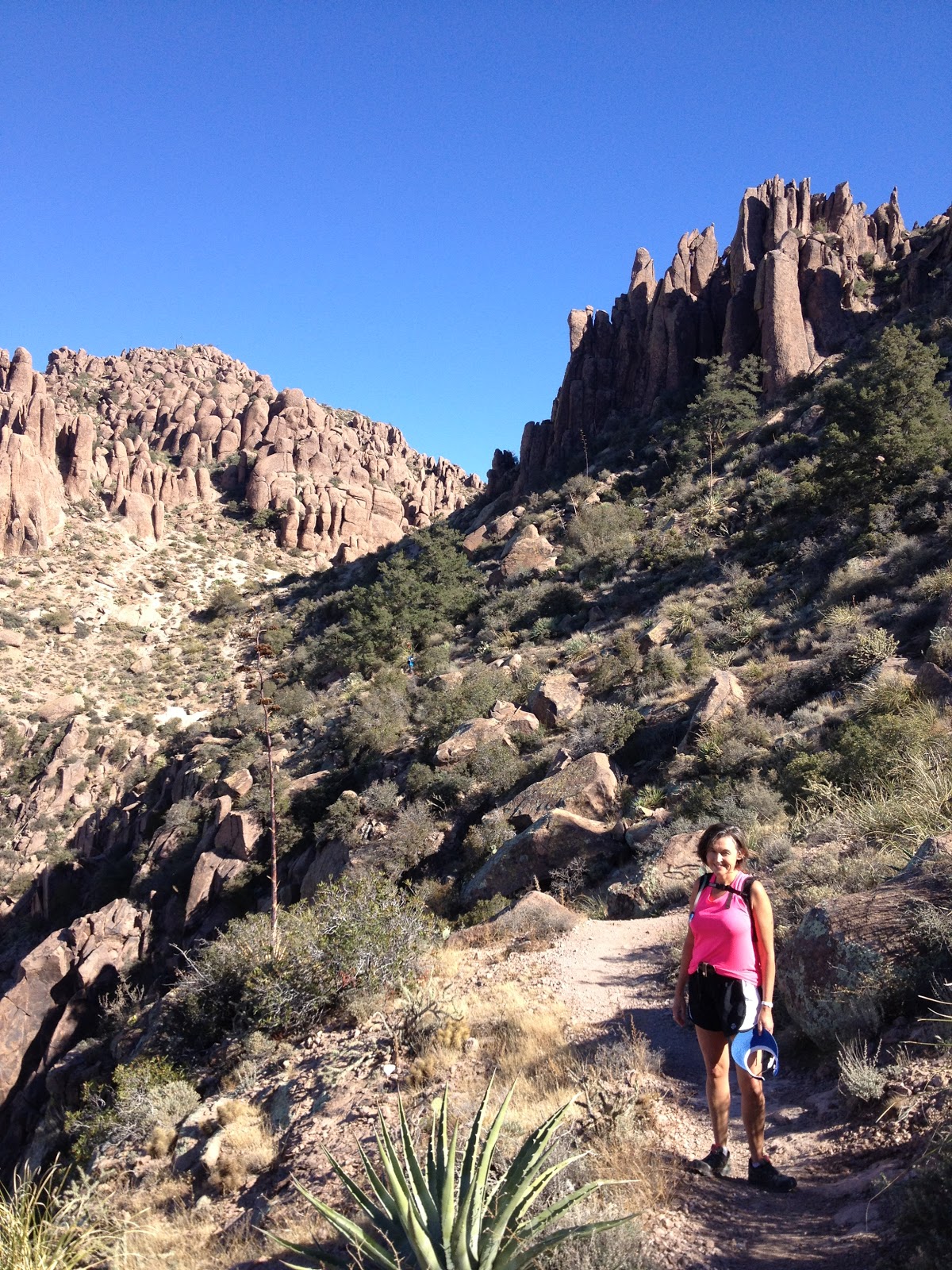 50 Hikes for 2012-13: Hike #3 - Siphon Draw, Apache Junction, AZ