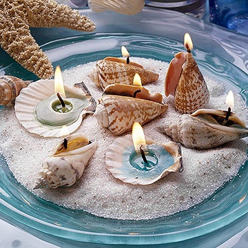 Eye For Design: Great Ways To Display Your Seashell Collection