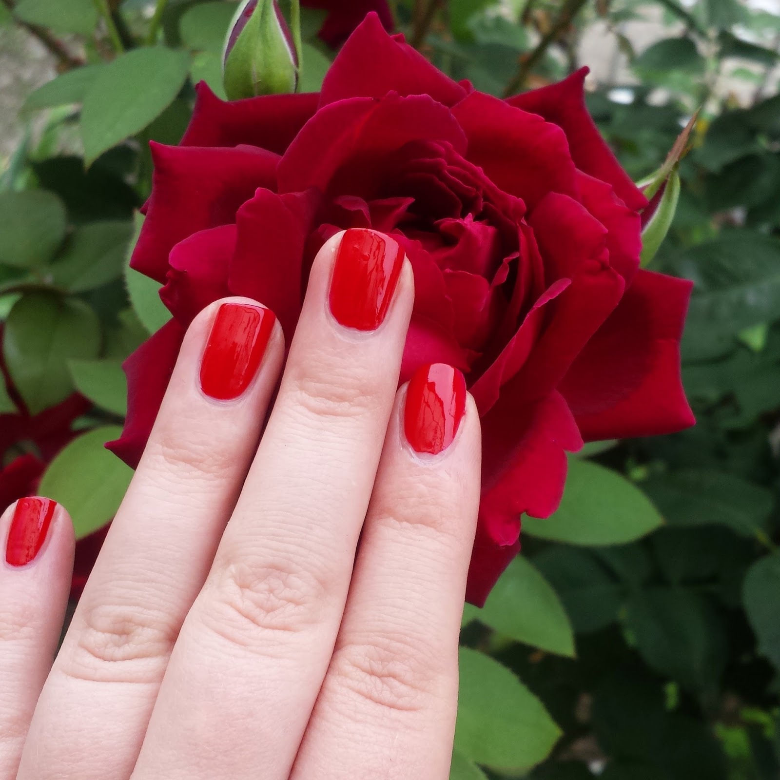Monica Hein ~ Beauty Diary : Cover Girl 'Red Revenge' Nail Polish