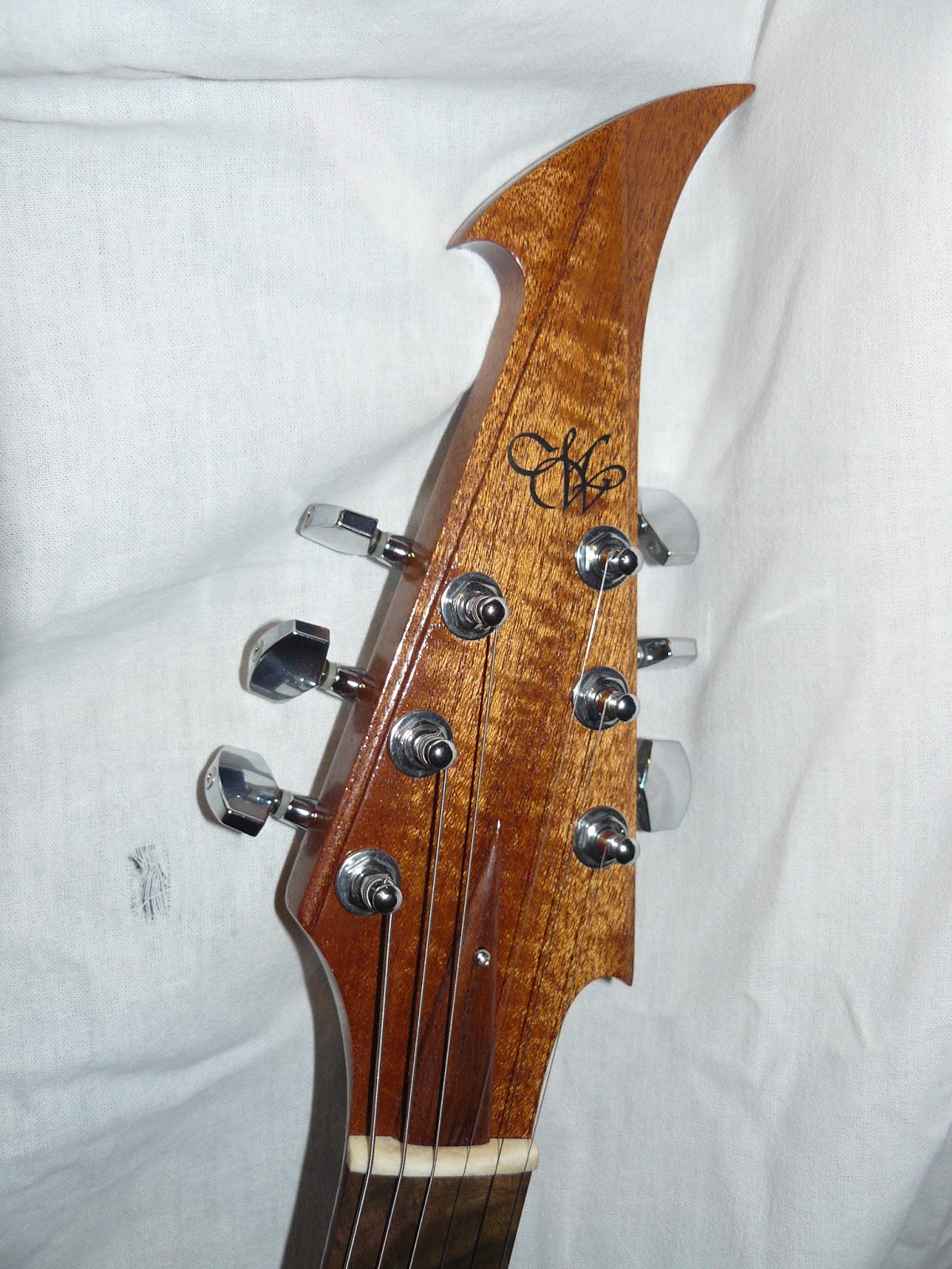 M. Wojtas Guitars: Ken Lawrence Explorer