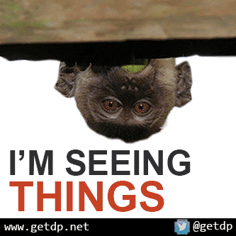 Testpage: I'm seeing things