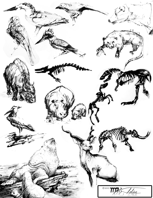 Landscapes to draw draw animal - pixelssaad