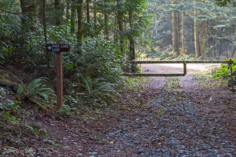Pass Lake Loop Trail