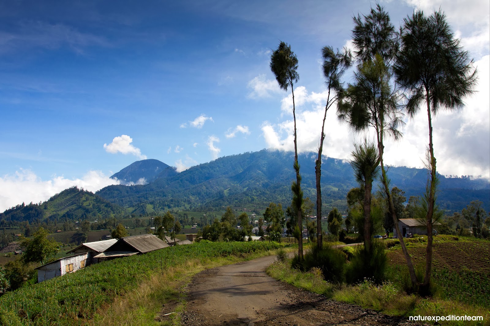 Nature Expedition Team: Mengunjungi Desa Tertinggi di Jawa (Part III)