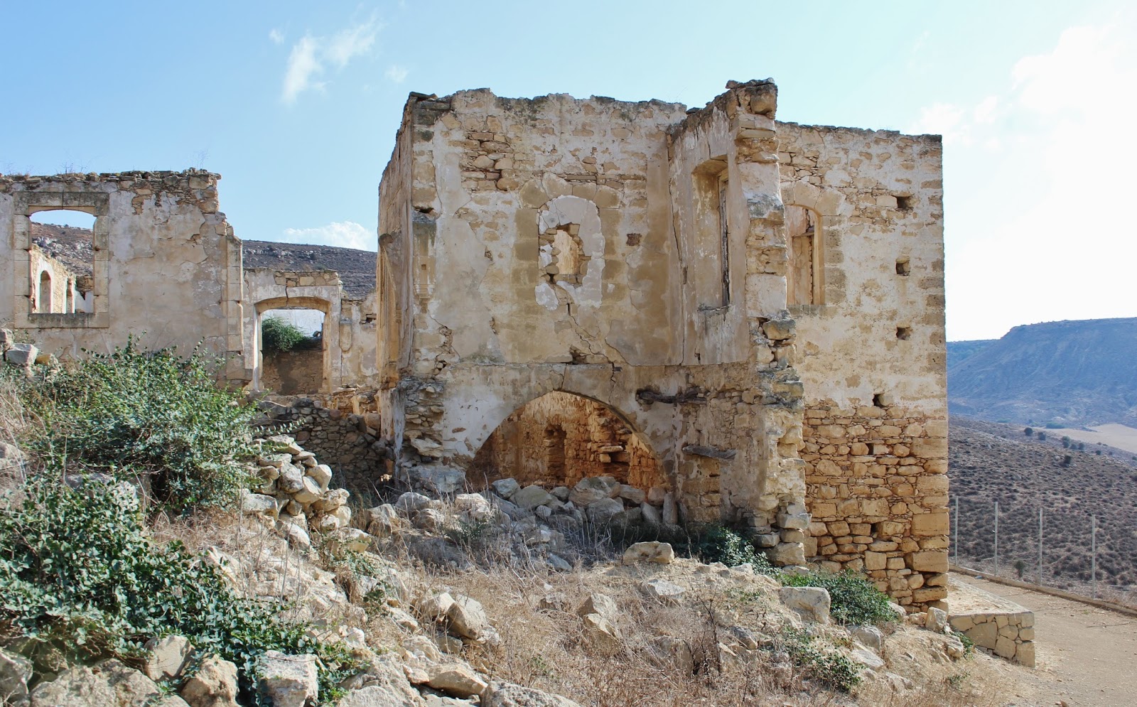 Biodiversity of Cyprus by NGO Protection of the Natural Heritage and ...