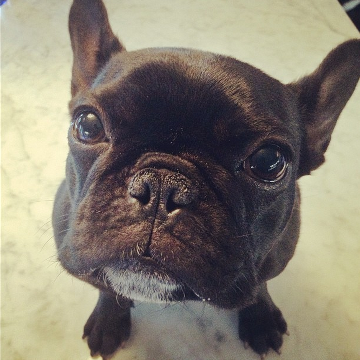 Accounts i follow on instagram - i wonder...about everything