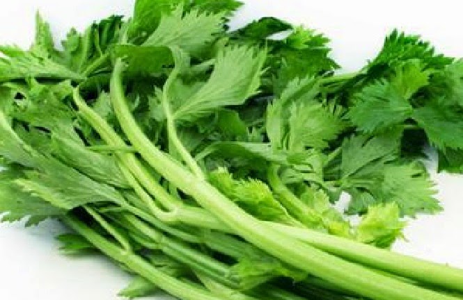 9 Manfaat Seledri Untuk Kesehatan