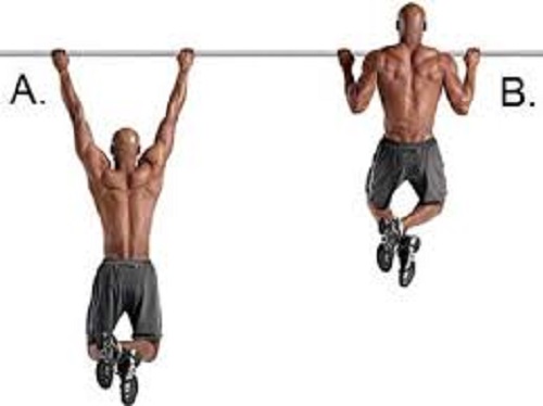 Entrainement barre de traction : Programme musculation barre de traction