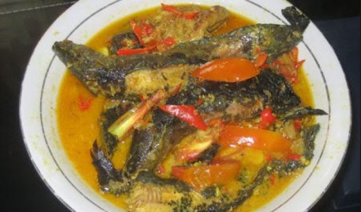 √ Mudahnya Buat Lele Sayur Santan Pedas