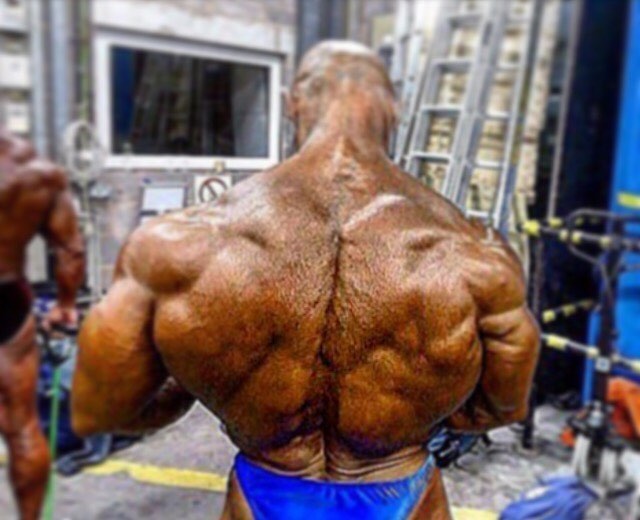 Worldwide Bodybuilders: Mighty muscle leprechaun from Northern Ireland ...