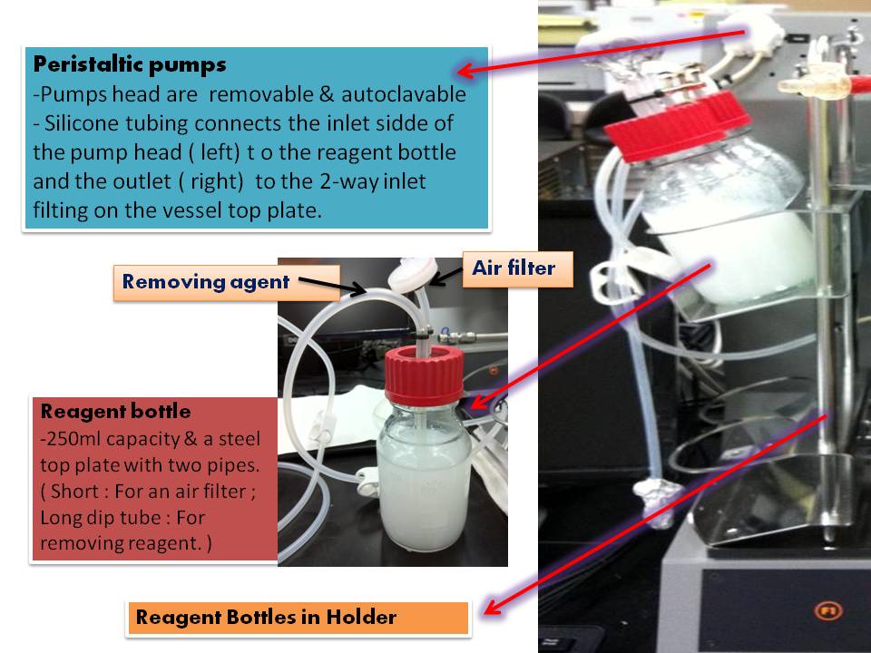 The Fermentation With Bioreactor