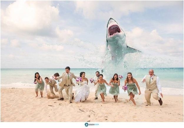 A Bride On A Budget: Shark Week Wedding Ideas