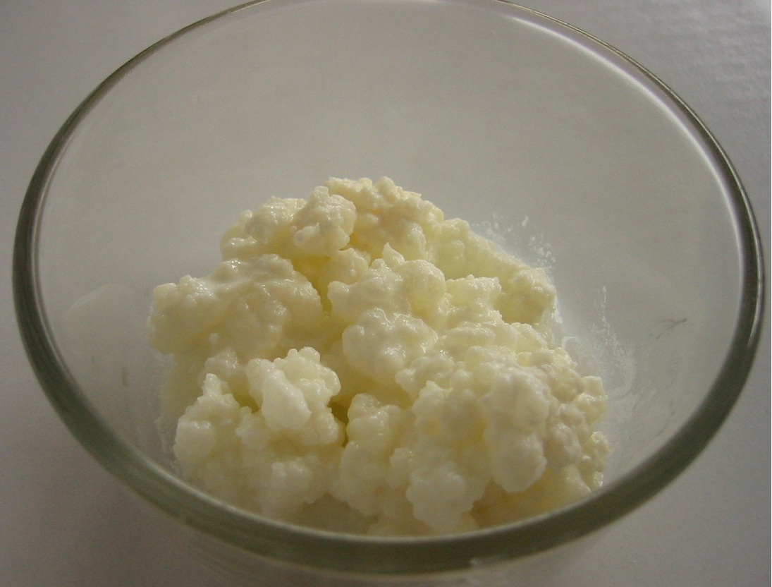 The Krafty Kow: kreating kefir