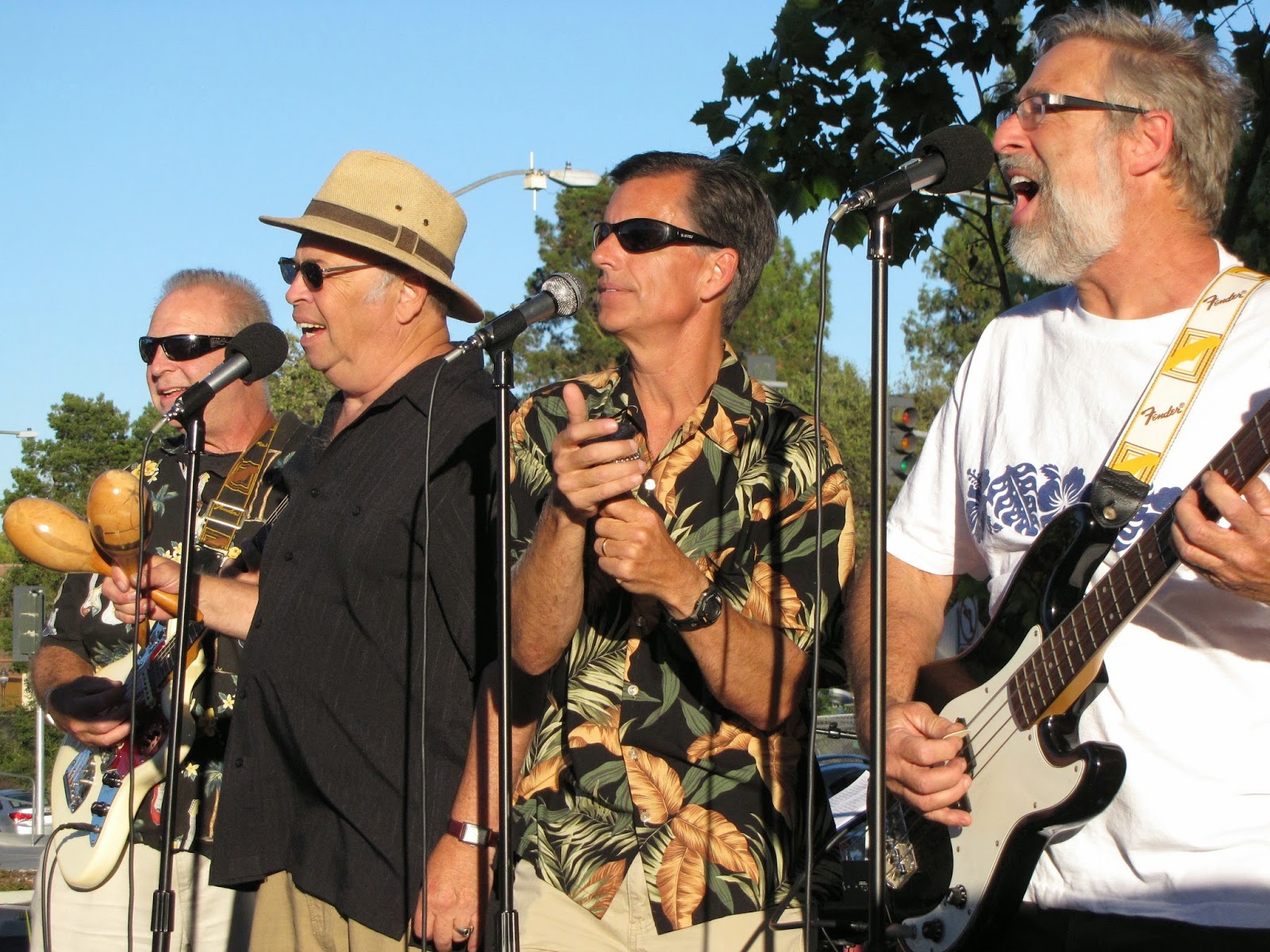 Celebrity Gems Entertainment: Surfing 60's band at San Francisco Bay ...
