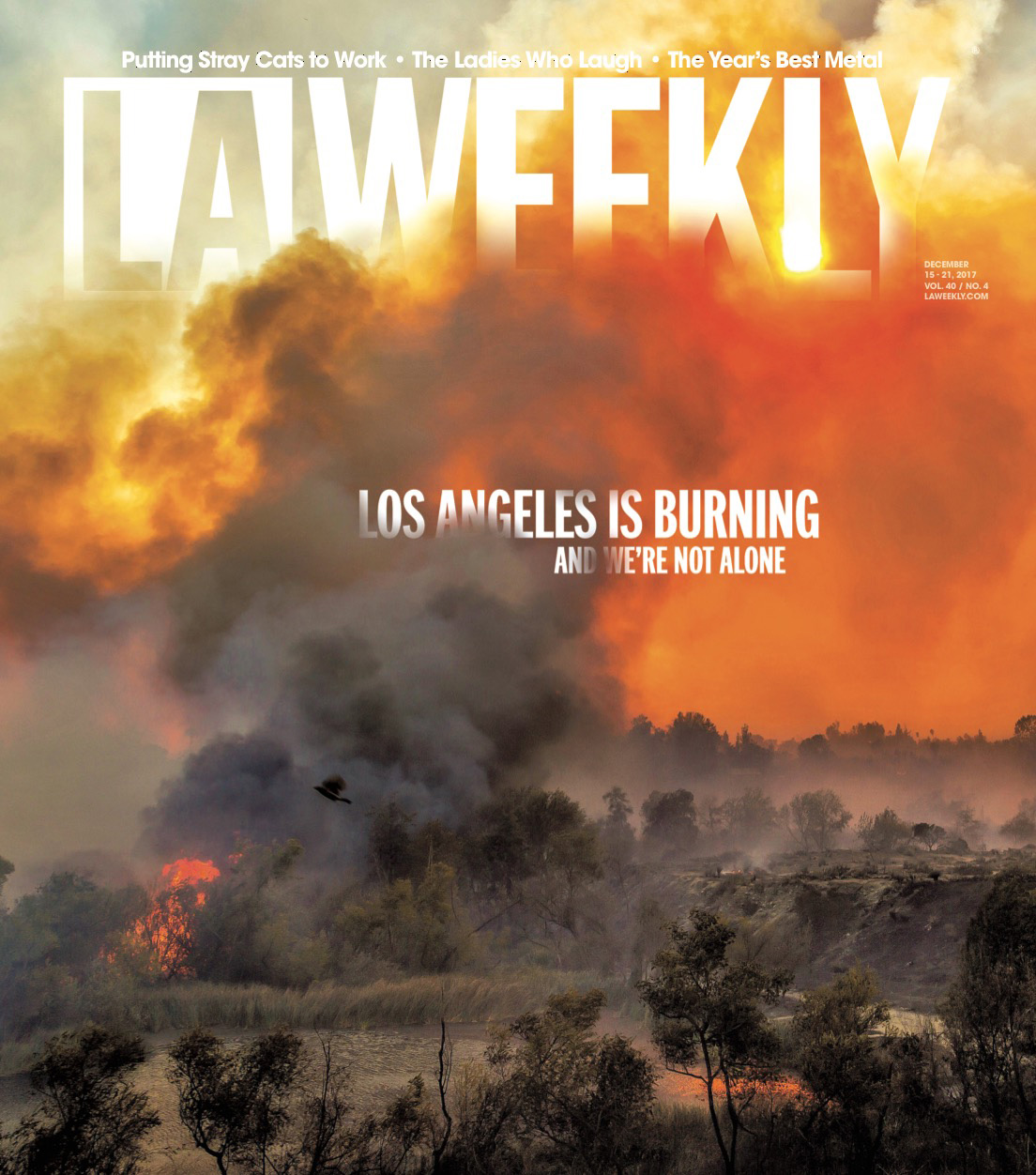 LA Photo: Los Angeles Fires