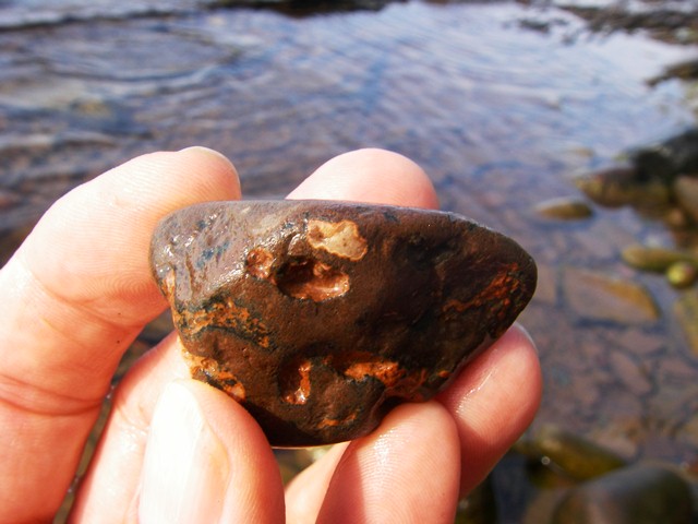 Serendipitous Intentions: Leaverites