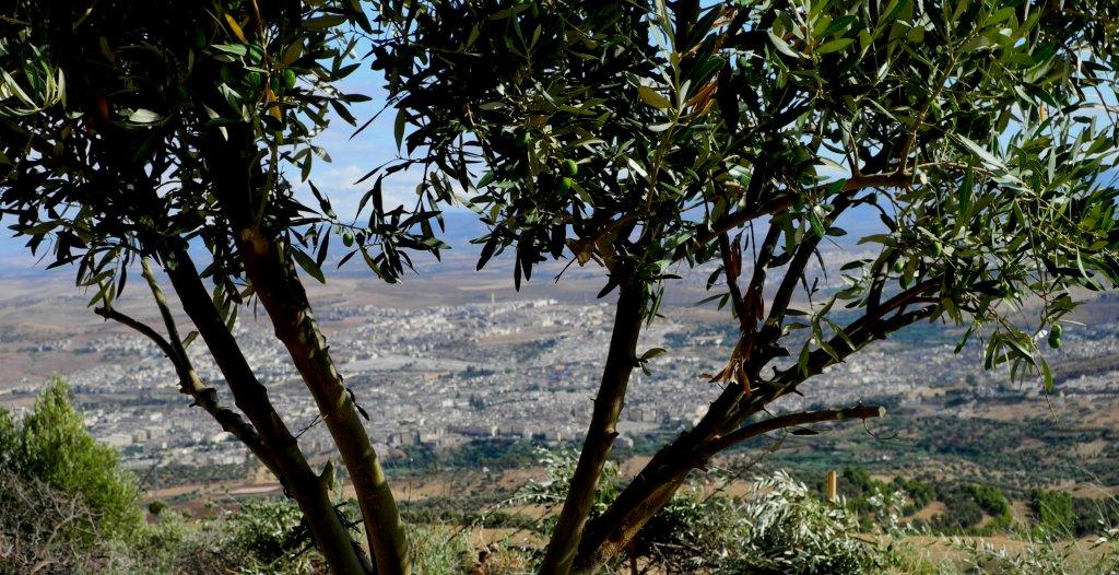 THE VIEW FROM FEZ: Mount Zalagh - overlooking and overlooked?