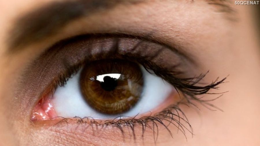 insan gozu haqqinda bunlari bilirdinizmi?-Xos Gelmisiniz