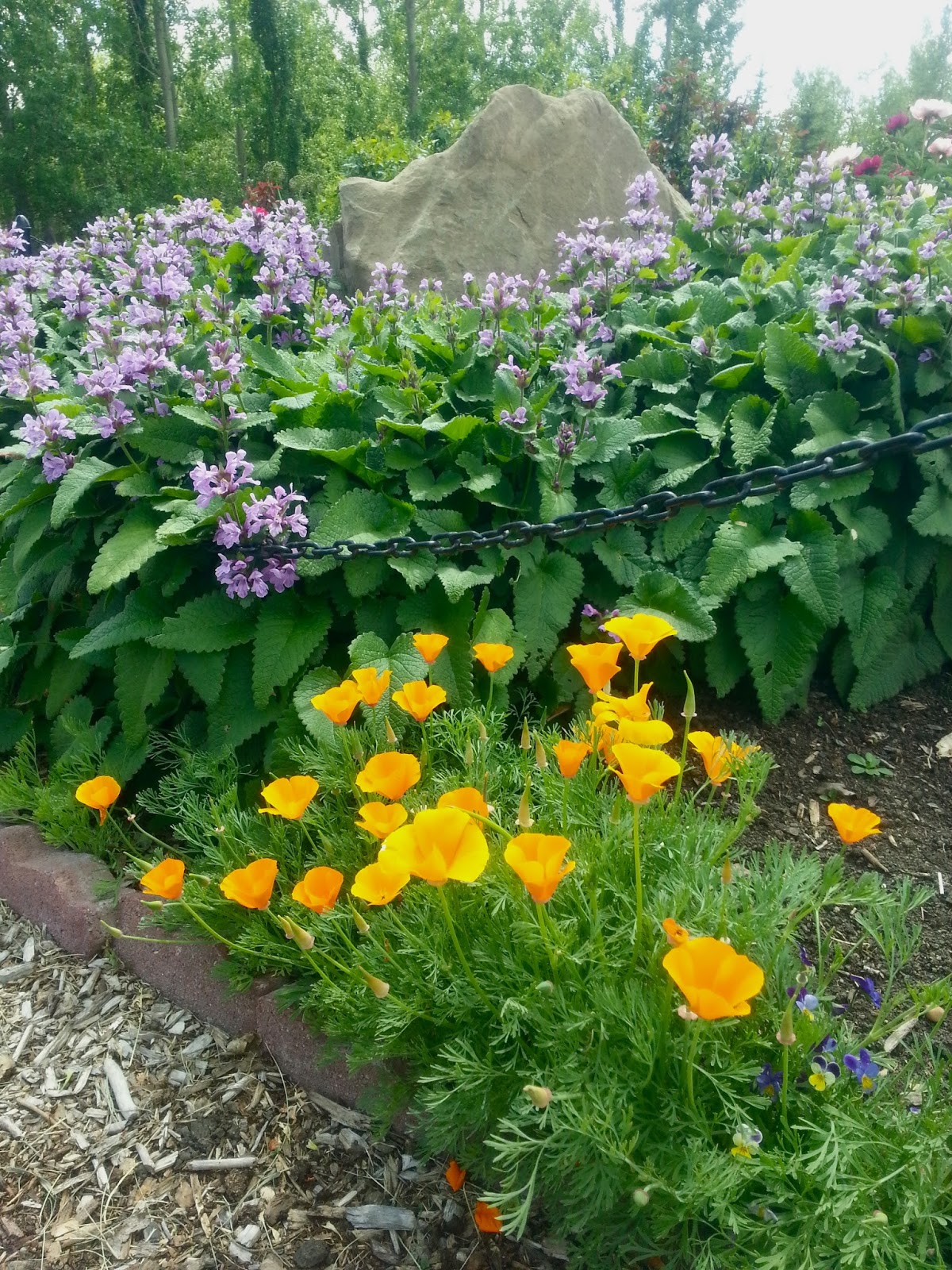 Walking Calgary: Silver Springs Botanical Garden