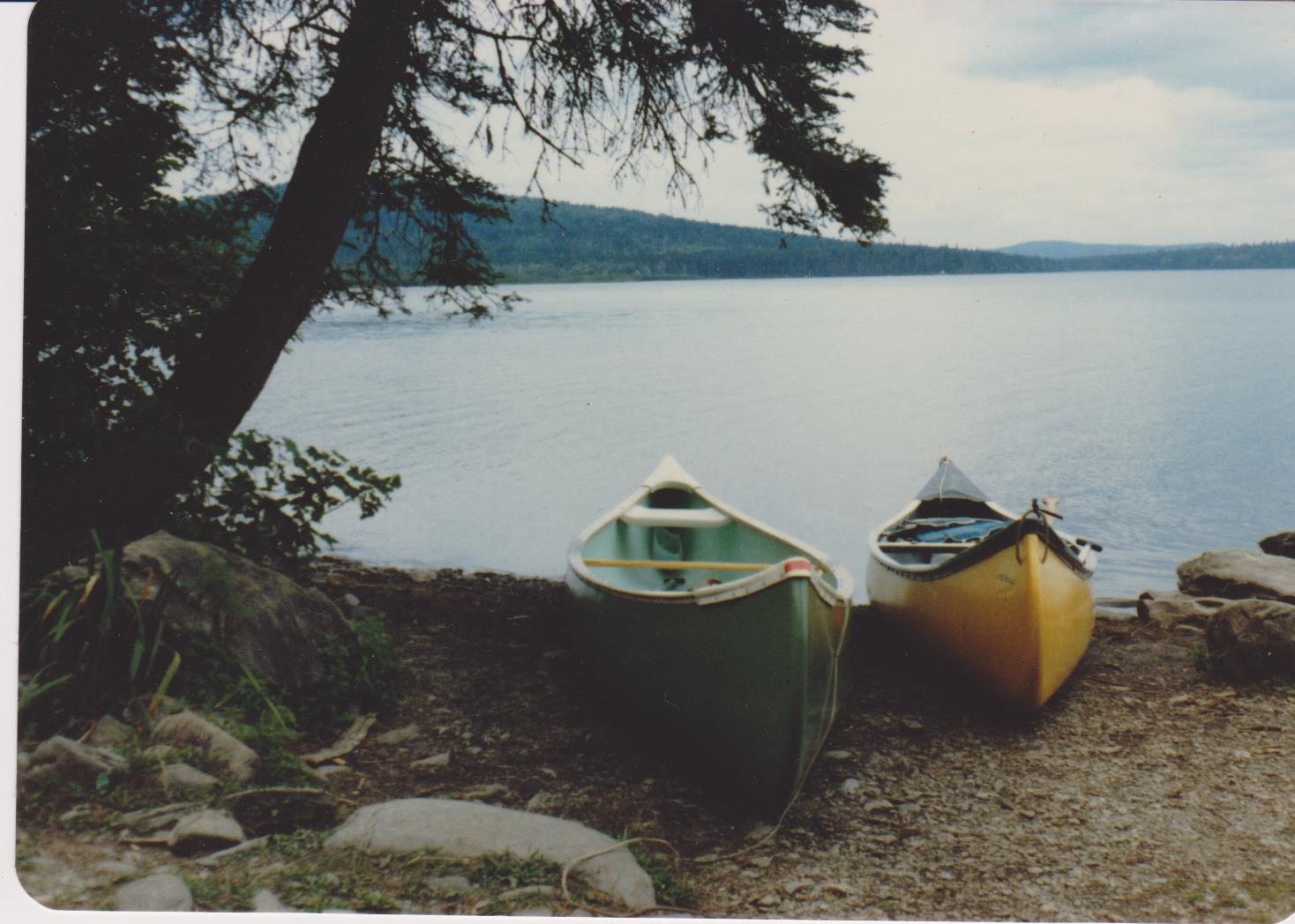 greenmon's folly: Retired after 38 years