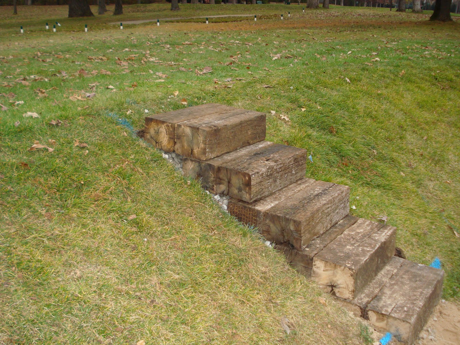 Ridgeway Country Club Turfgrass Management: Stairs, Root Pruning and ...