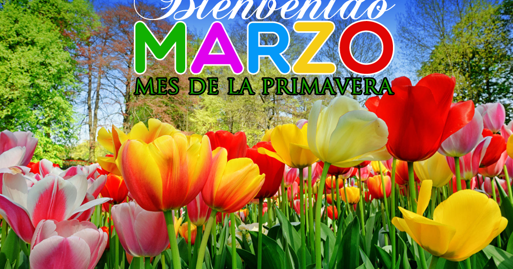 Colegio Dominicano de Profesionales de Enfermería (Codopenf): Listado ...