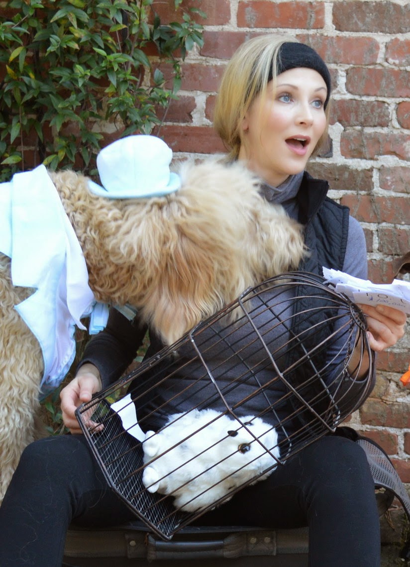 pixiedust: Happy Halloween from Dumb and Dumber...and Mary Samsonite!