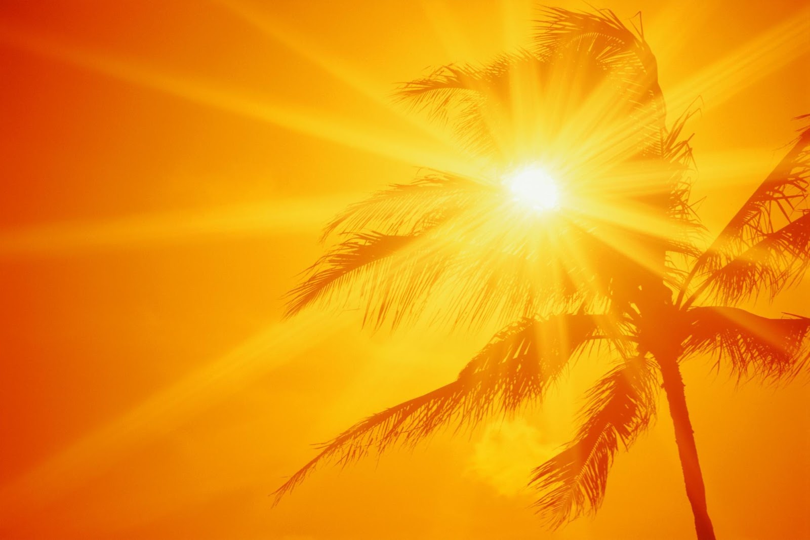 PASTORAL DOMINICAS: El viento y el sol