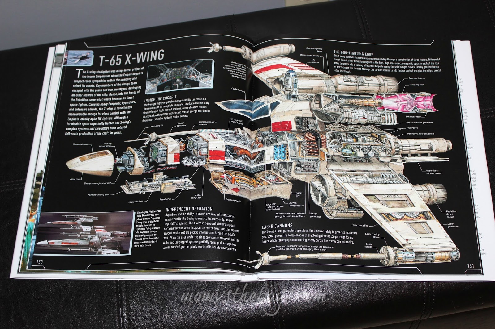 Every Day Is Special: October 10 – Star Wars Reads Day