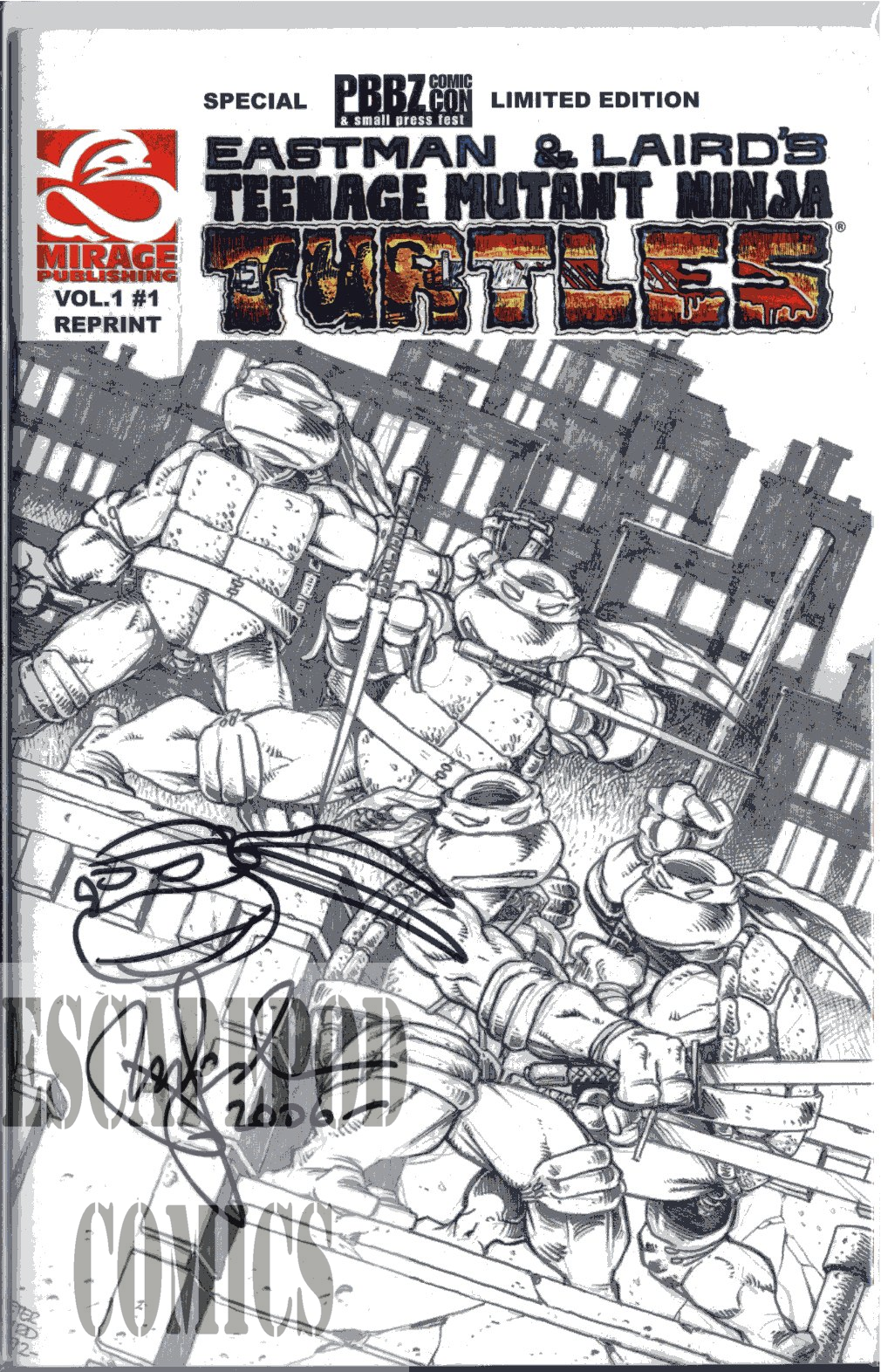 TMNT Entity: Awesome Turtle Picture #020