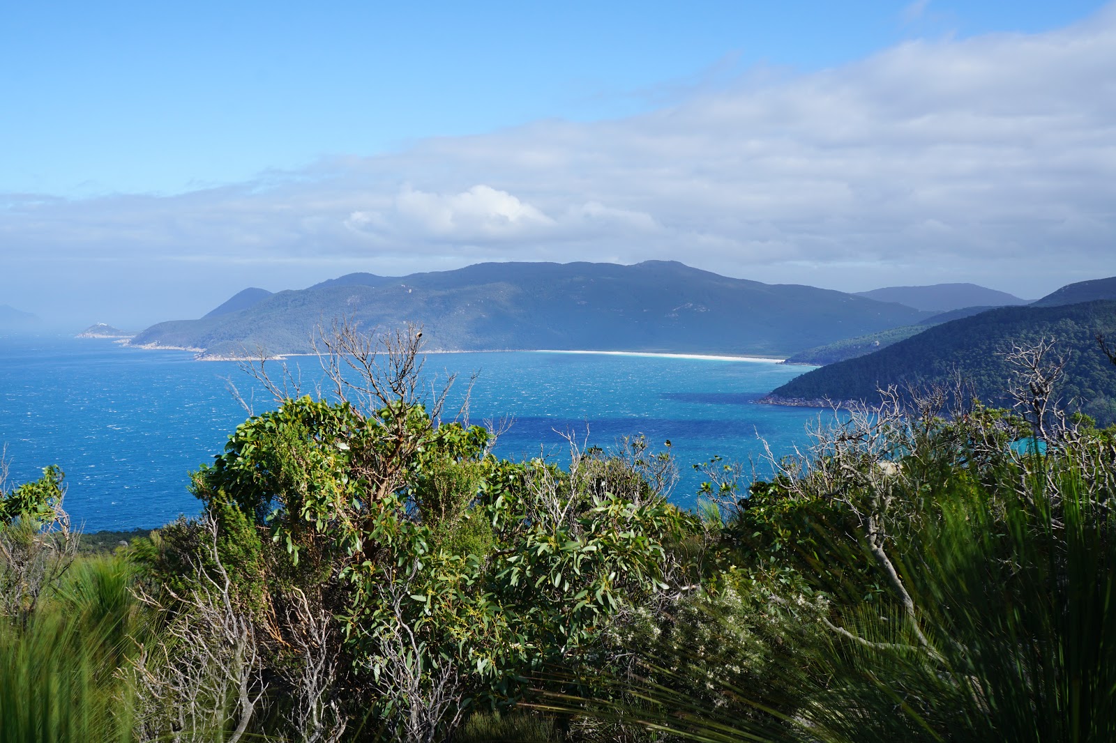 Wilsons Promontory Southern Circuit (VIC) - Sealers Cove to Little ...