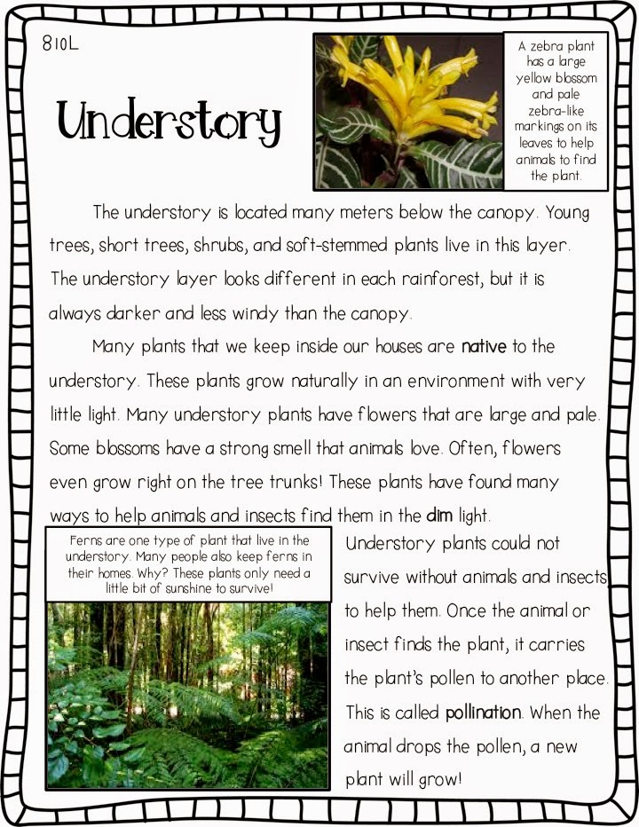 Creativity to the Core: Close Reading in the Common Core Classroom