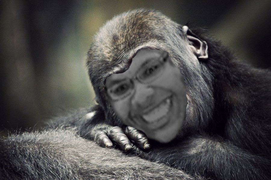 BLOG CALIENTE: SIMIOS FAMOSOS A NIVEL MUNDIAL Y NACIONAL