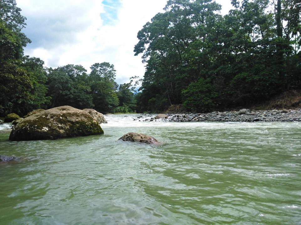 Pejibaye, Jiménez, Cartago