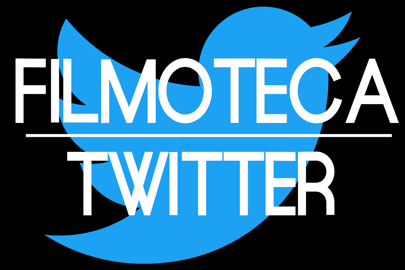 La Filmoteca de Sant Joan d'Alacant: Cartel y presentación del XII ...