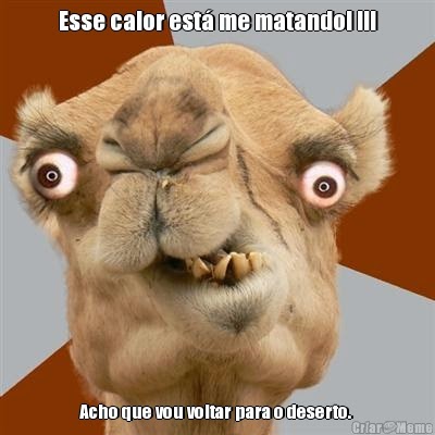 CEI VILA PRADO: QUE CALOR !!! MEMES DO VERÃO