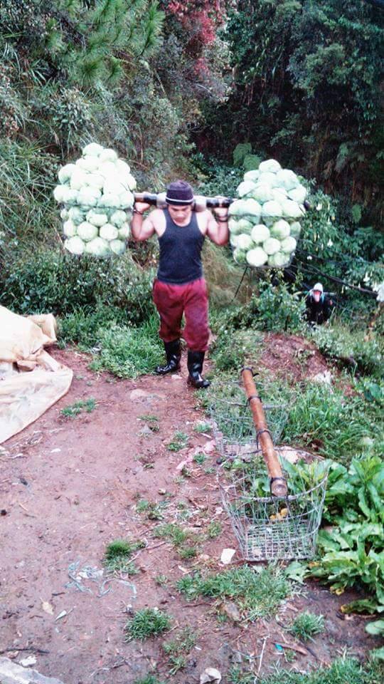 Popular Manila: Cabbage Man Rocks the Repolyo: Carrotman Hinihintay ang ...